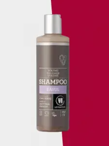 Shampoo for Oily Hair : The Best Shampoos for Hair That Becomes Greasy ...